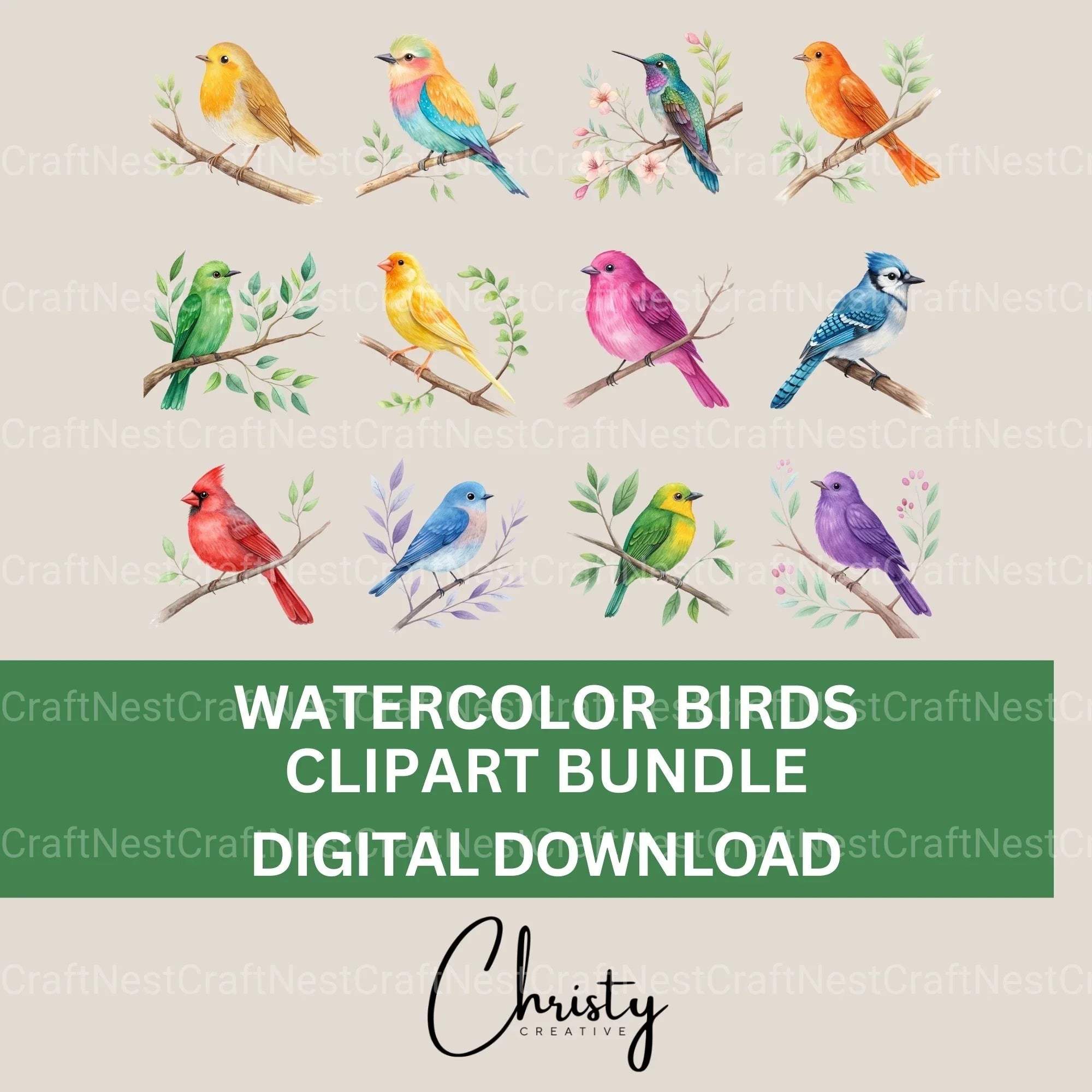 Birds Clipart Bundle