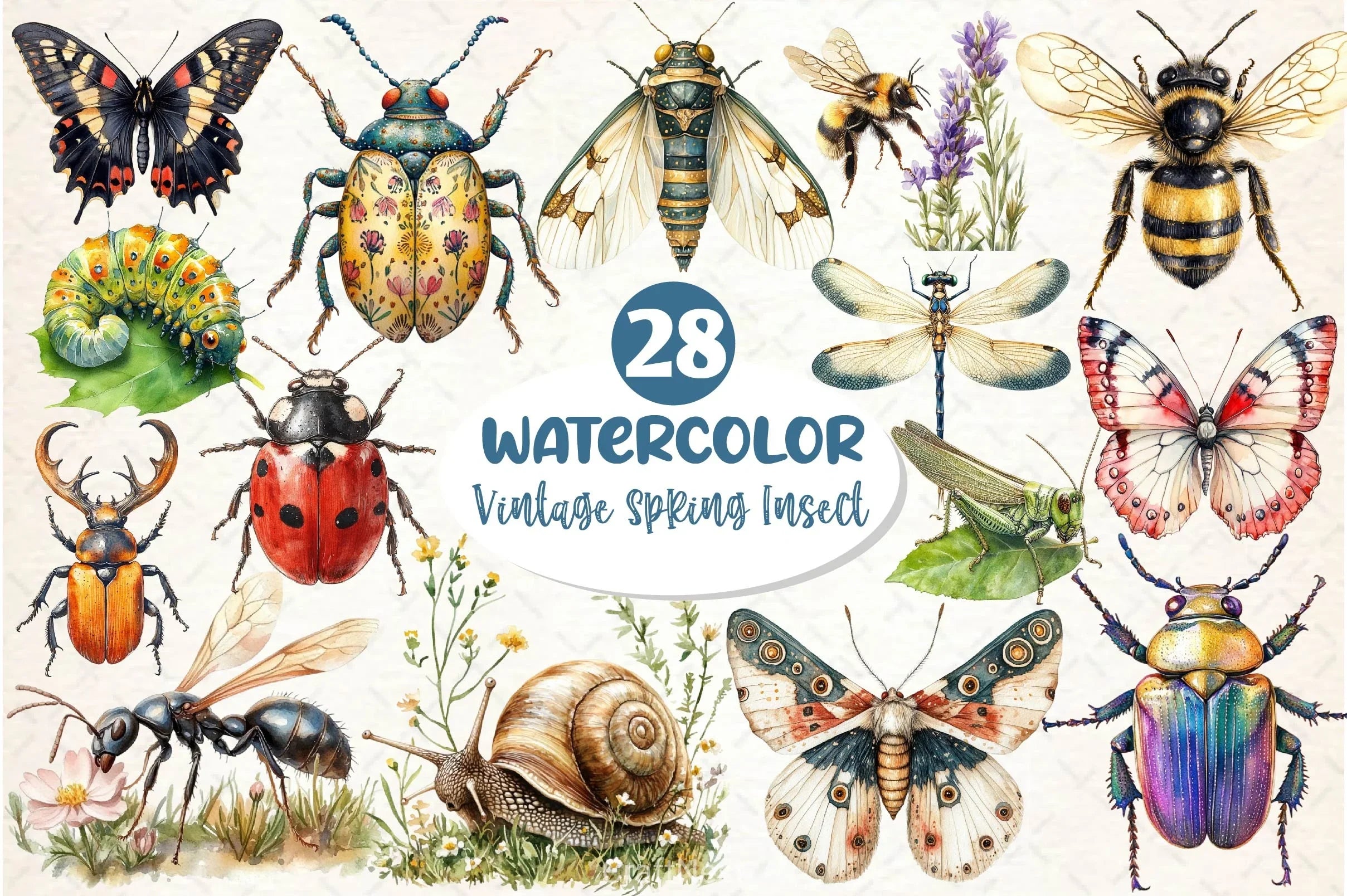 Vintage Spring Insect Clipart Bundle