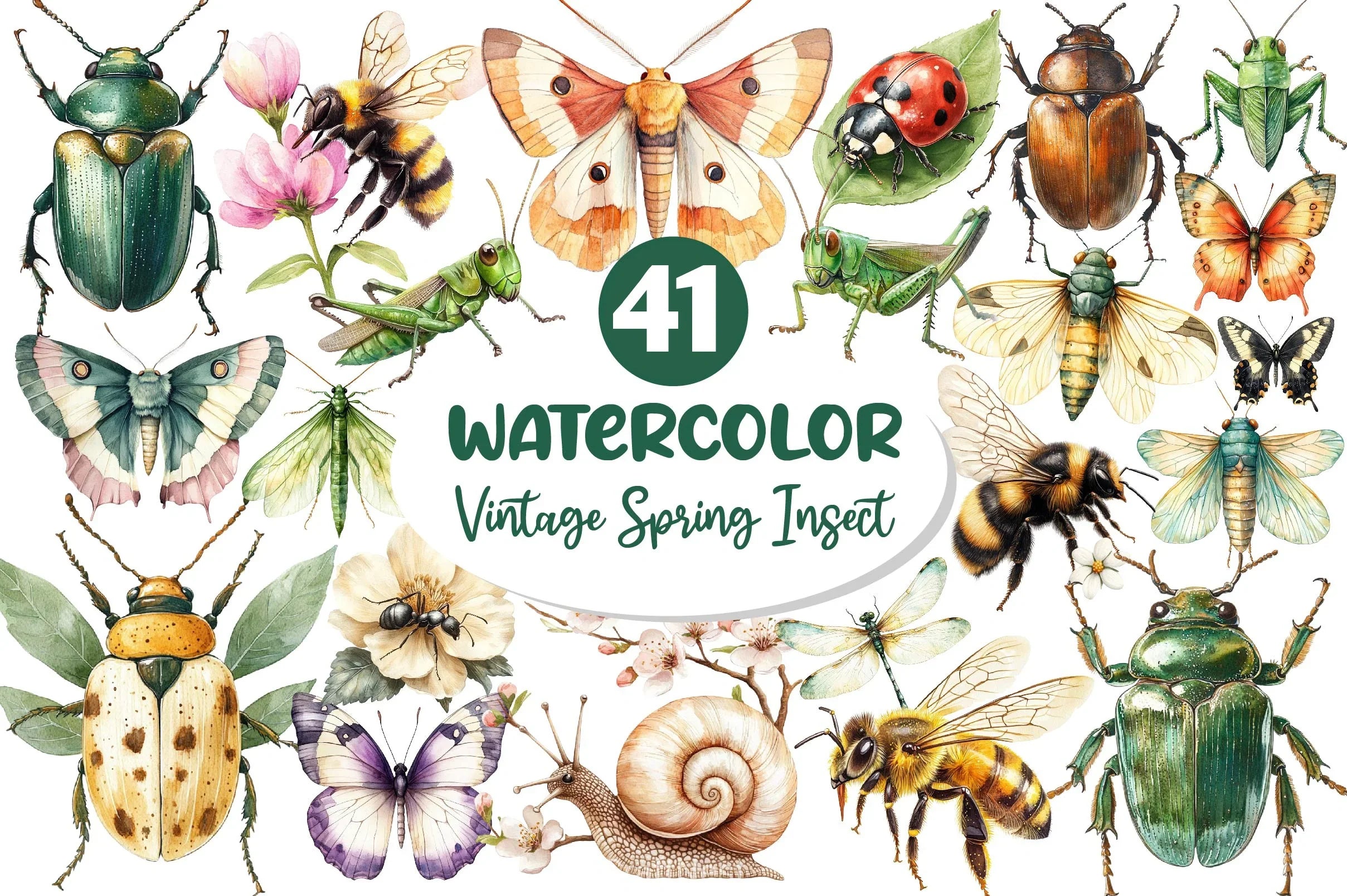 Vintage Spring Insect Clipart Bundle