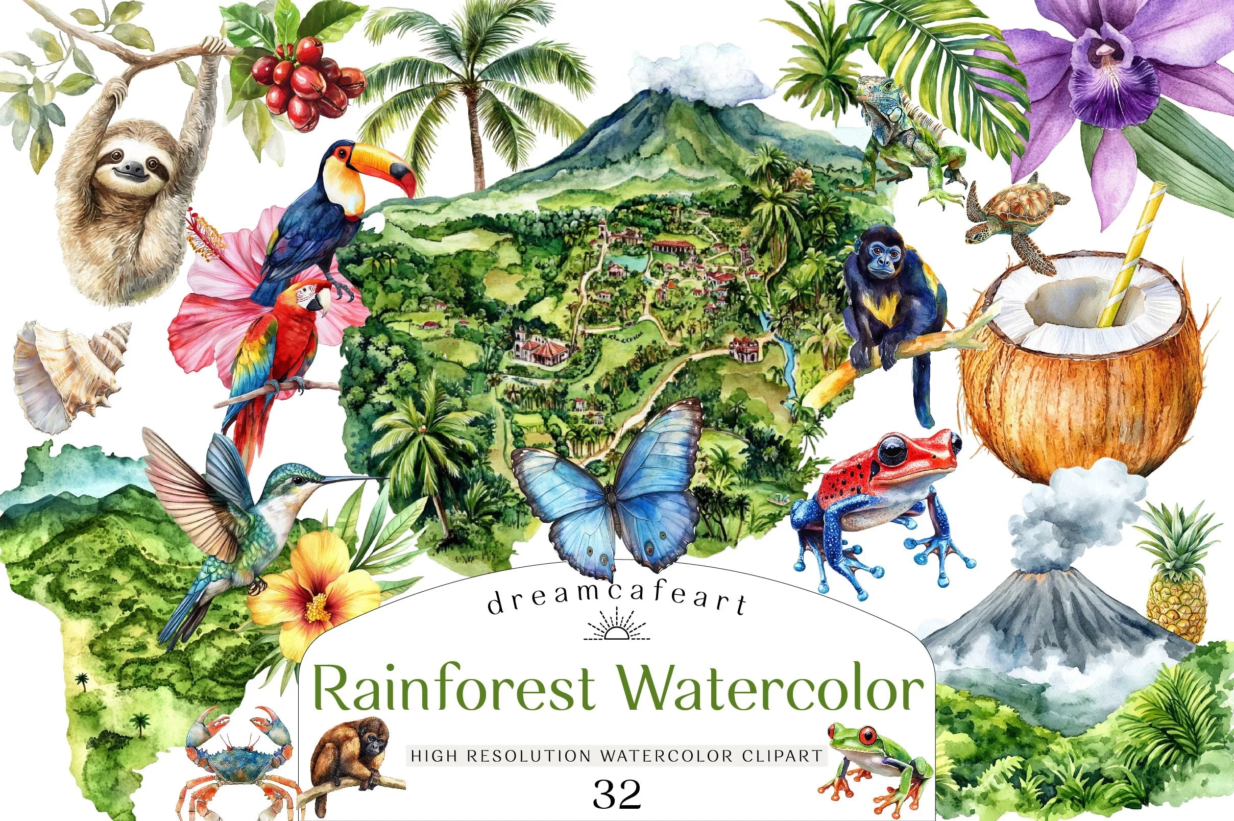 Rainforest Vintage Nature Clipart Bundle