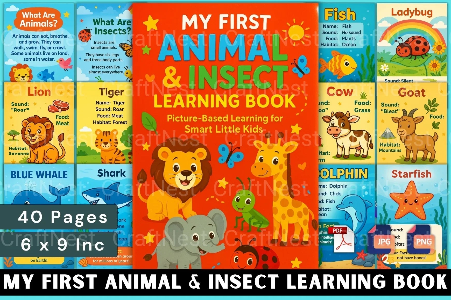 My First Insect Learning Book for Kids
