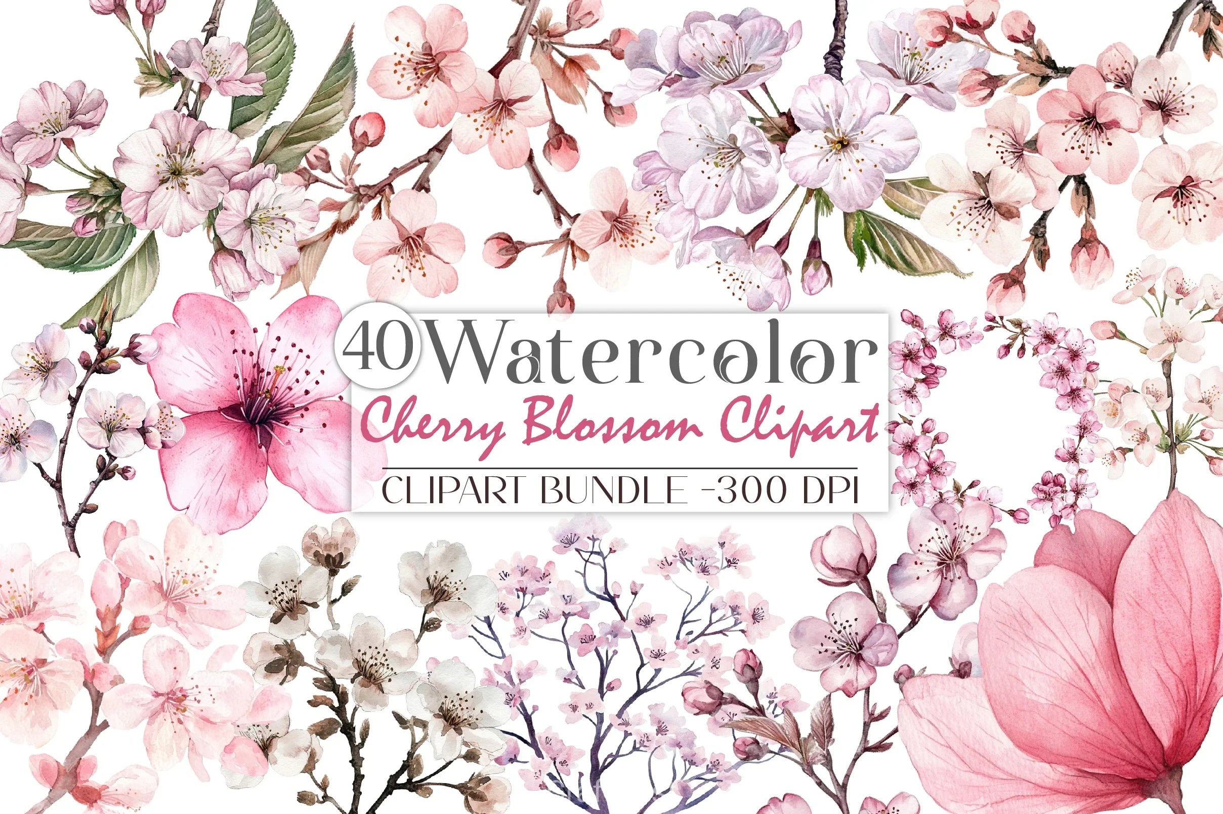 Cherry Blossom Clipart Bundle