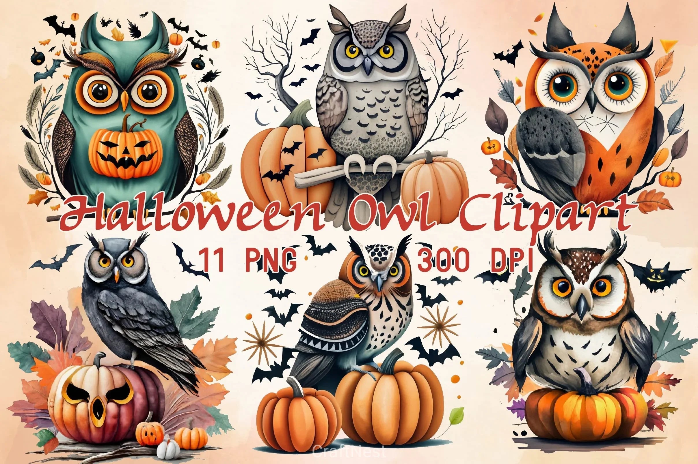 Halloween Owl Clipart Bundle