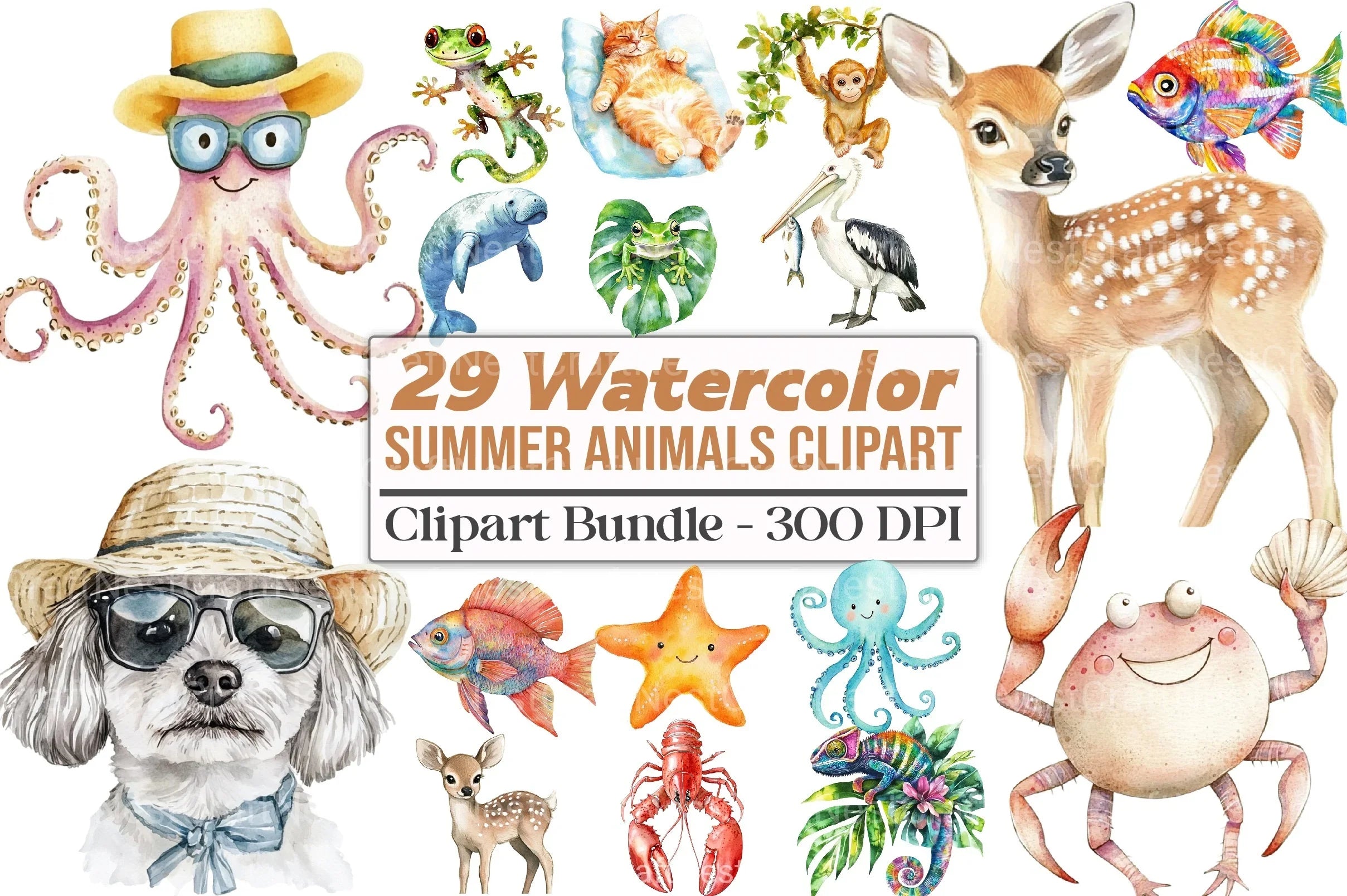 Summer Animals Clipart Bundle 99