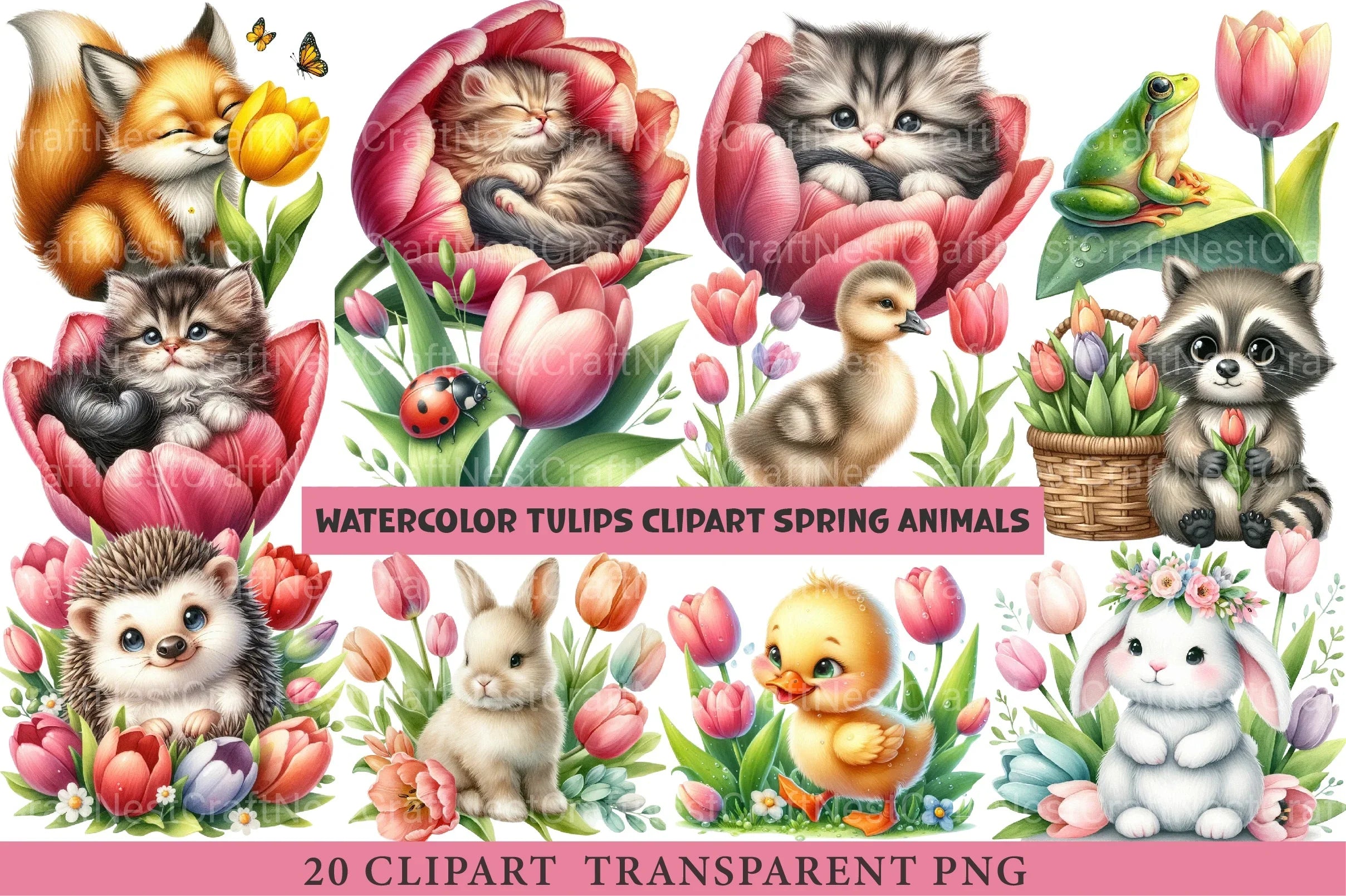 Tulips Spring Animals Clipart Bundle
