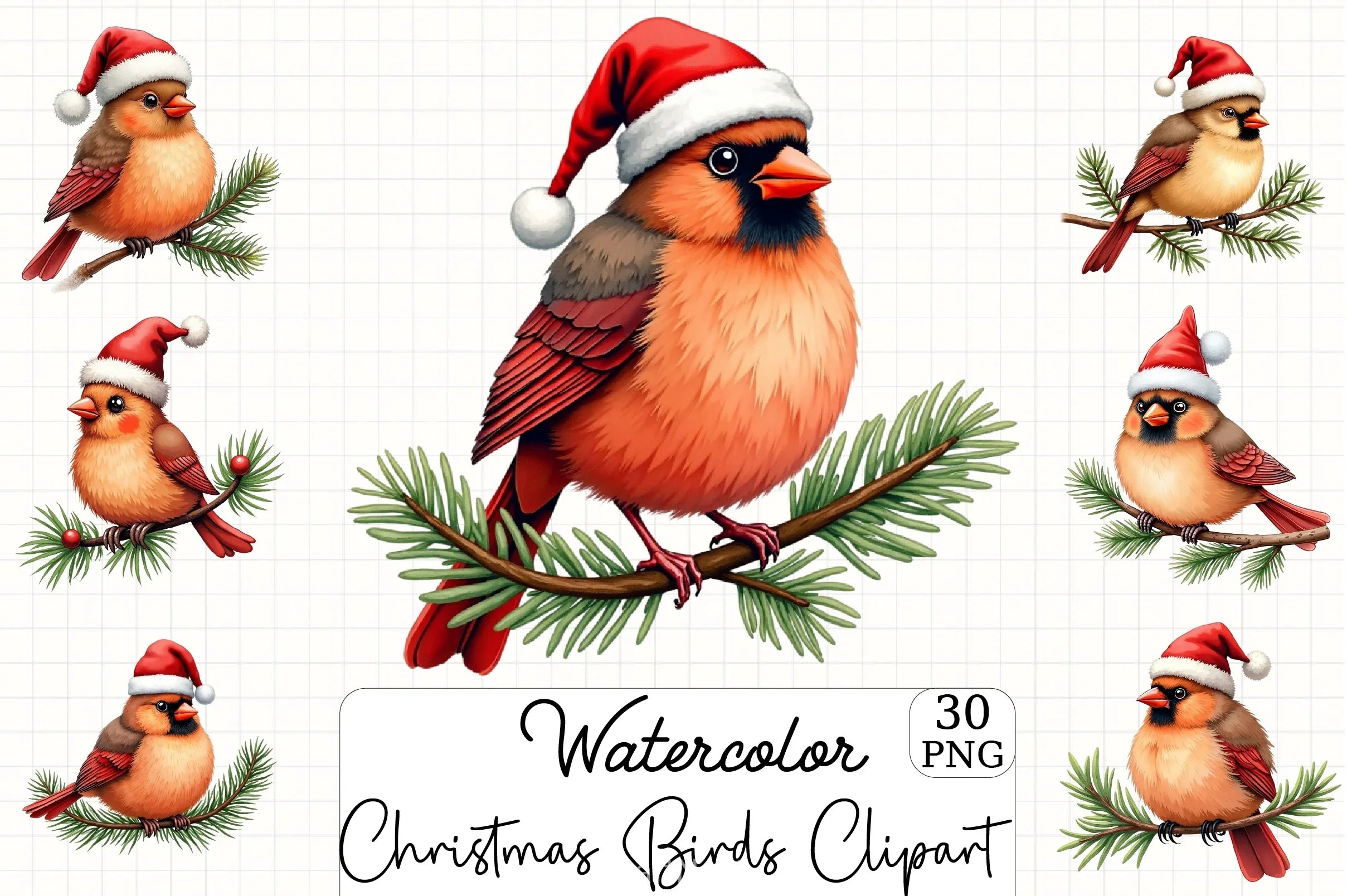 Christmas Birds Clipart Bundle