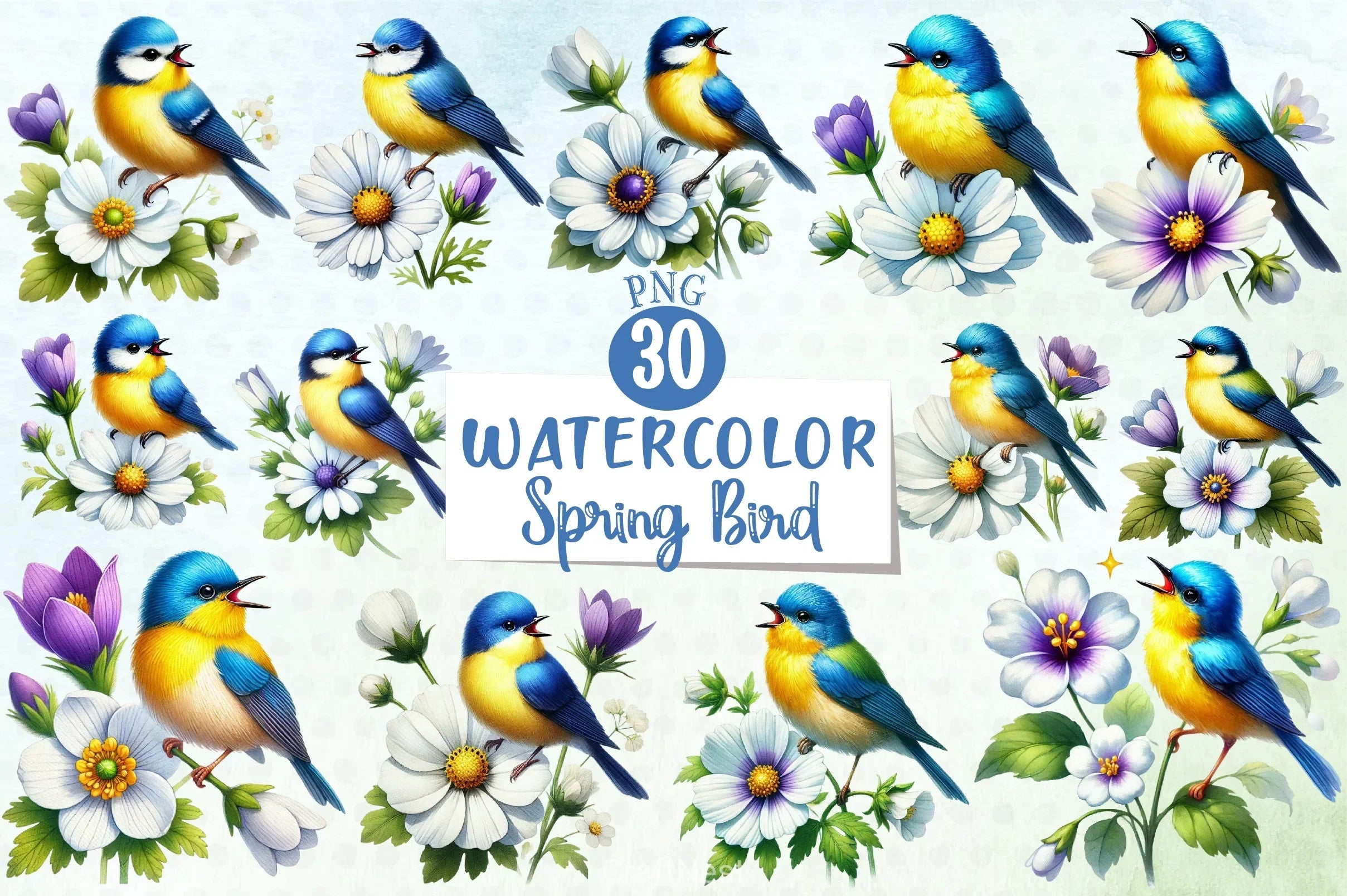 Colorful Spring Bird Clipart Bundle