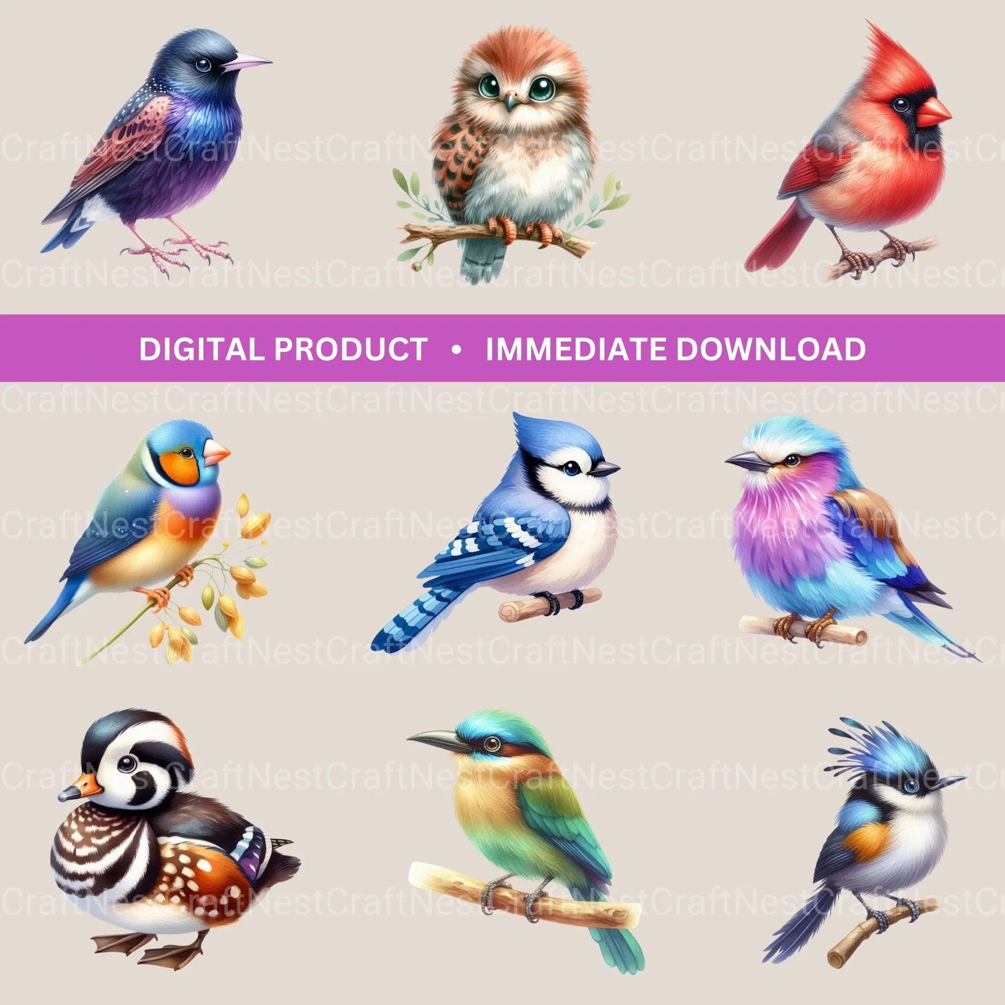 Birds Clipart Bundle