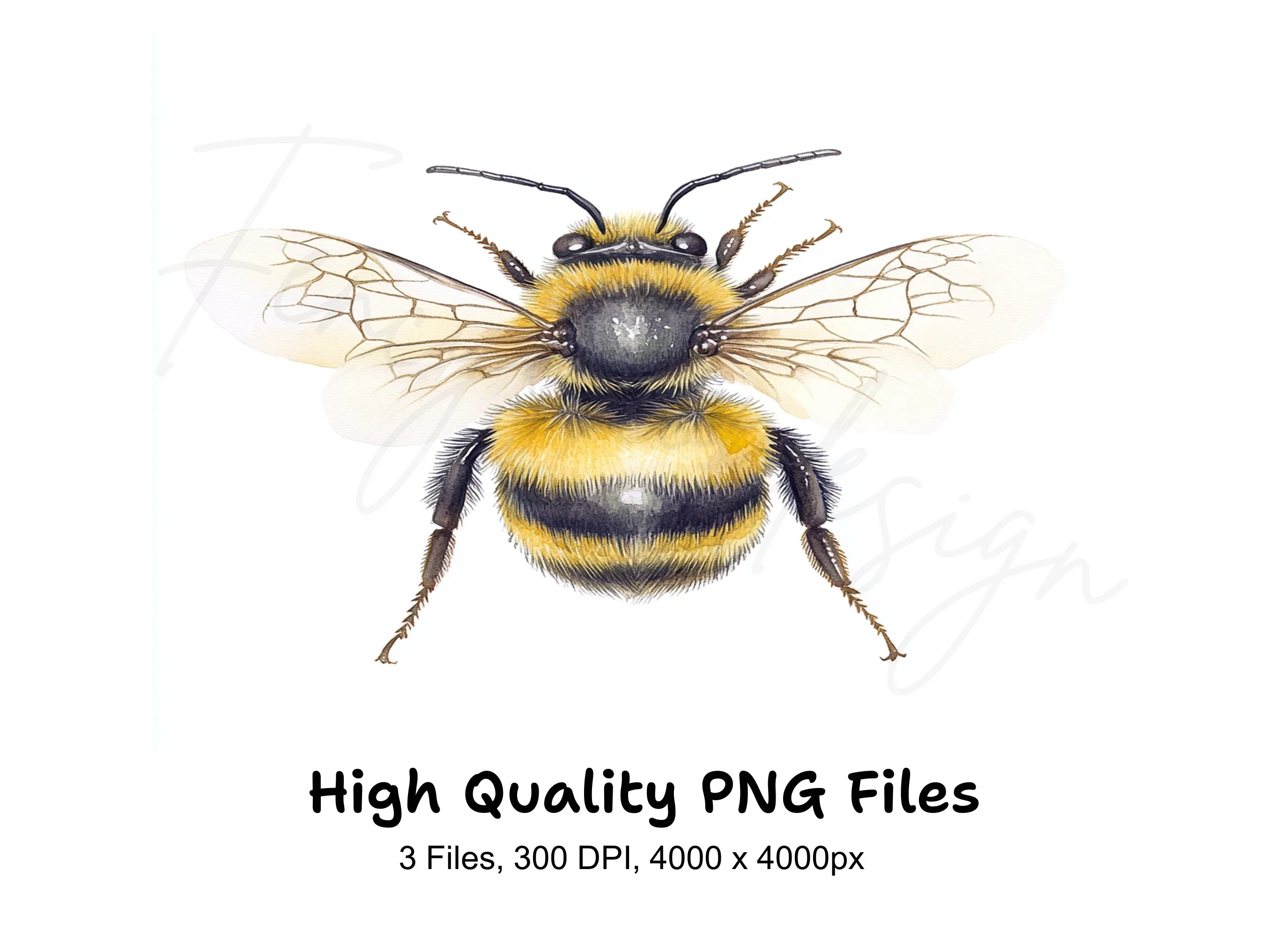 Bumble Bee Clipart Bundle