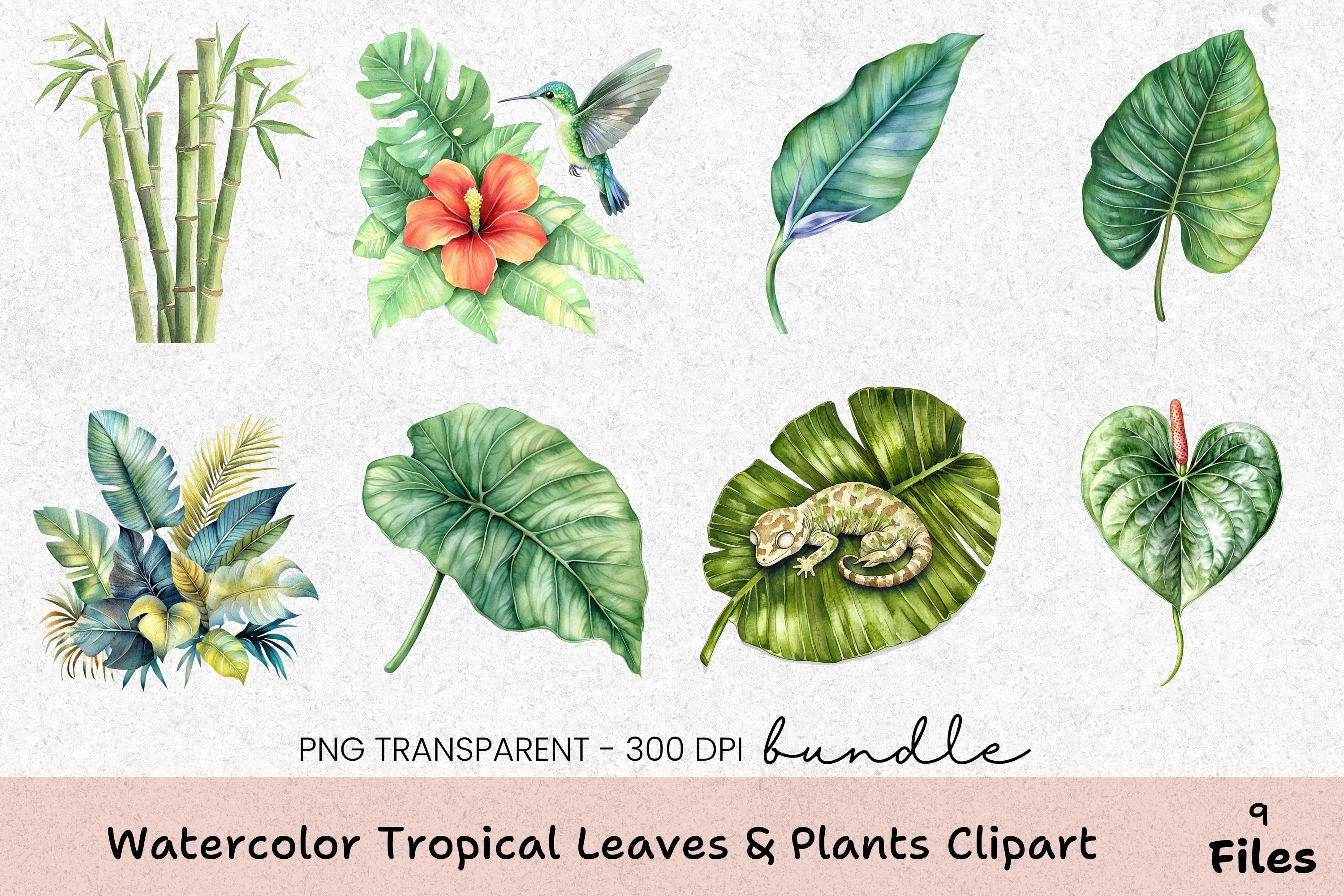 Tropical Leaves & Plants Clipart Bundle