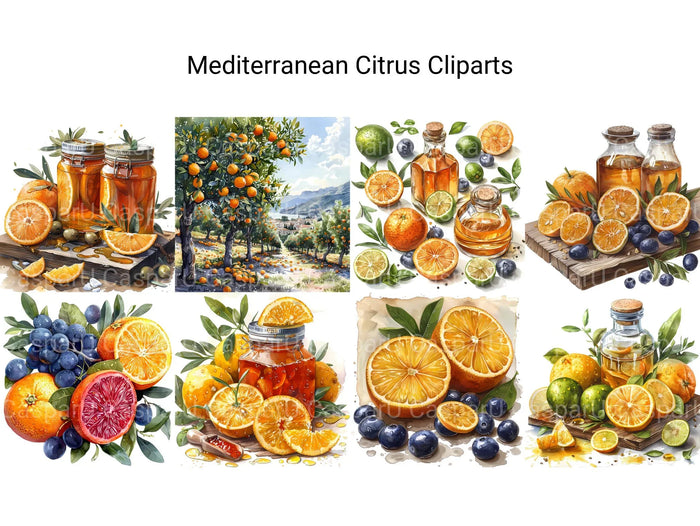 Mediterranean Citrus