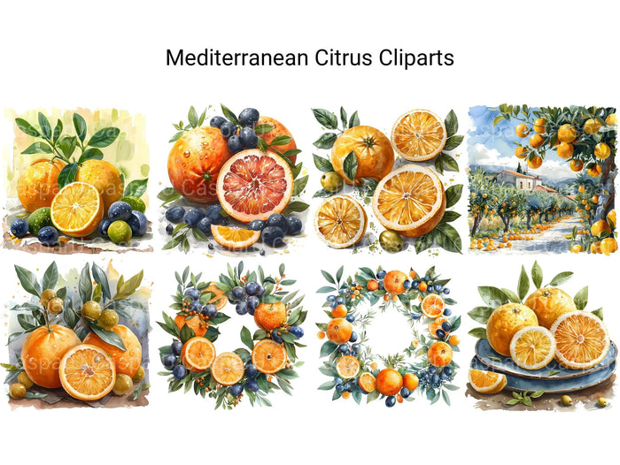 Mediterranean Citrus