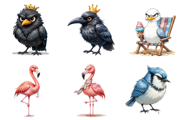 Funny Grumpy Birds Clipart Bundle