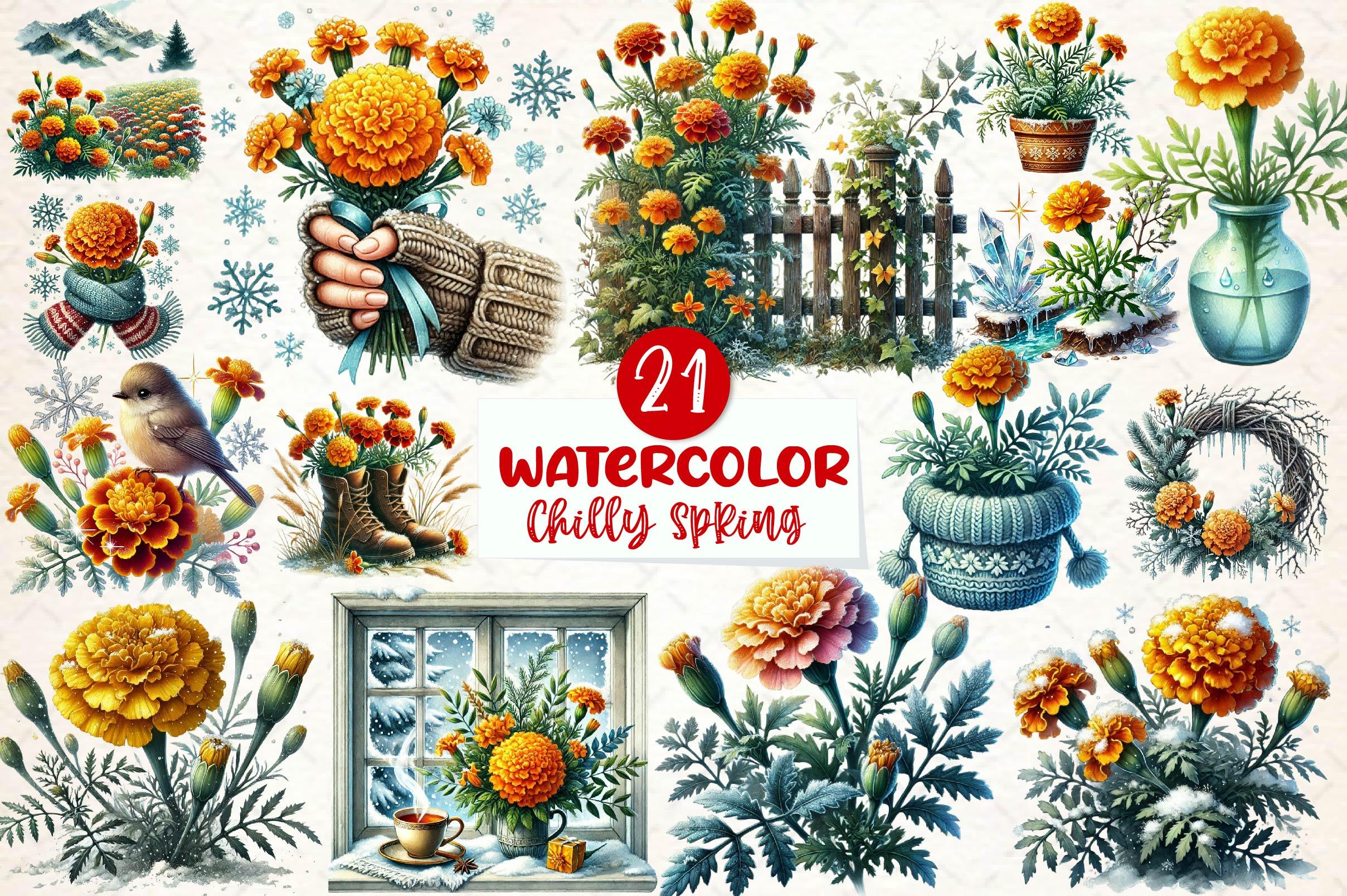 Marigold Chilly Spring Day Clipart Bundle