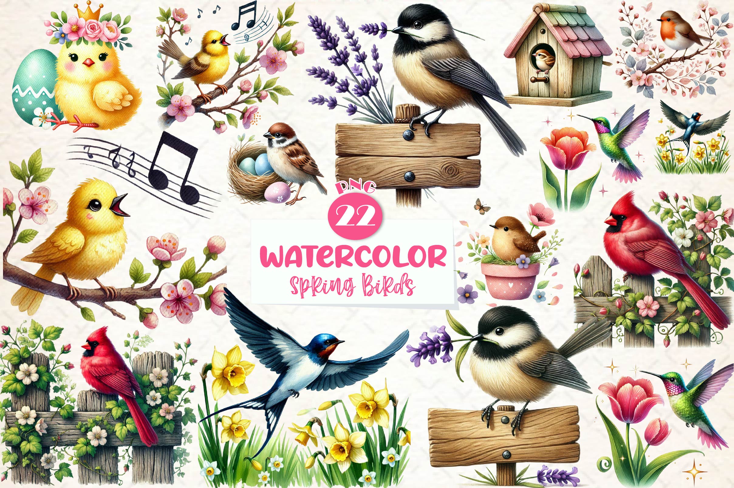 Spring Birds Clipart Bundle