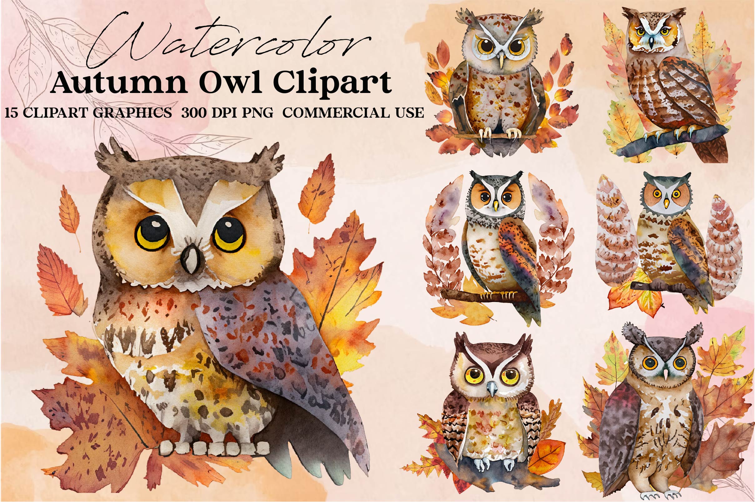 Autumn Owl Clipart Bundle
