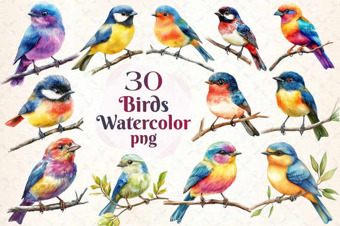Birds Clipart Bundle