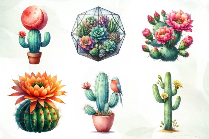 Cactus And Succulents Clipart Bundle