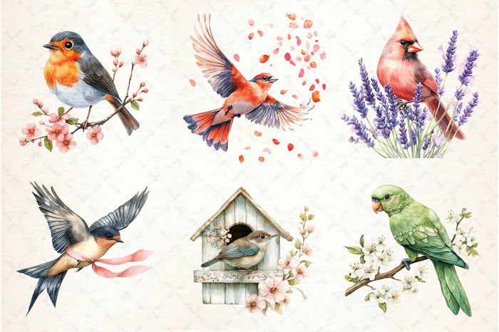 Spring Birds Clipart Bundle