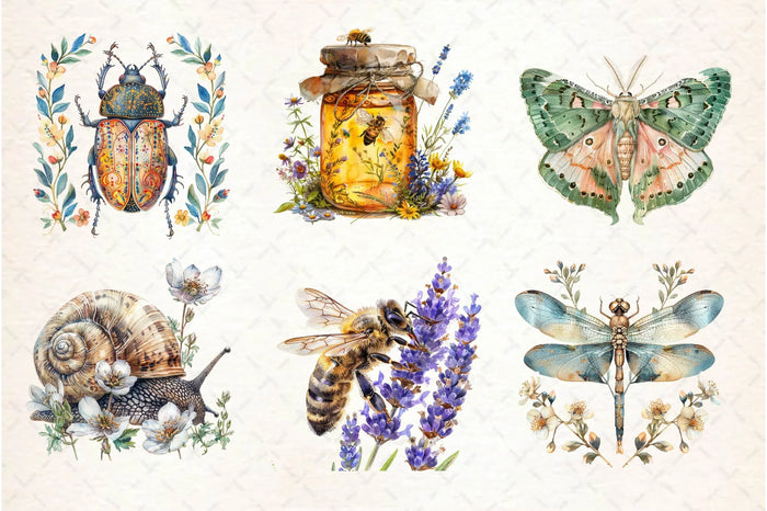 Vintage Spring Insect Clipart Bundle