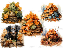 Leaf Pile Fun