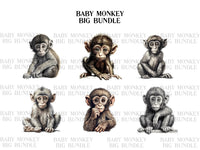 Baby Monkey