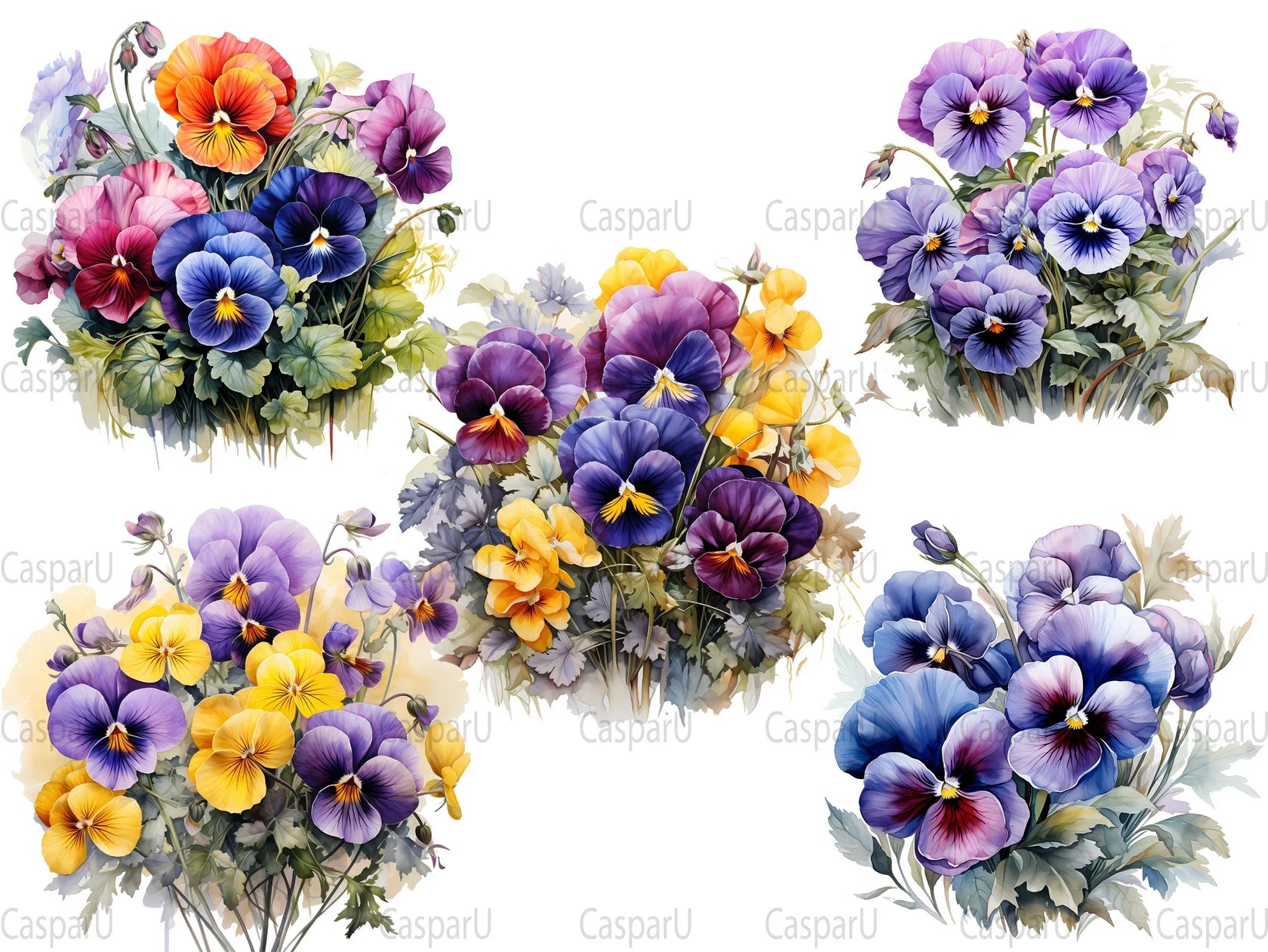 Pansy Palette In Fall