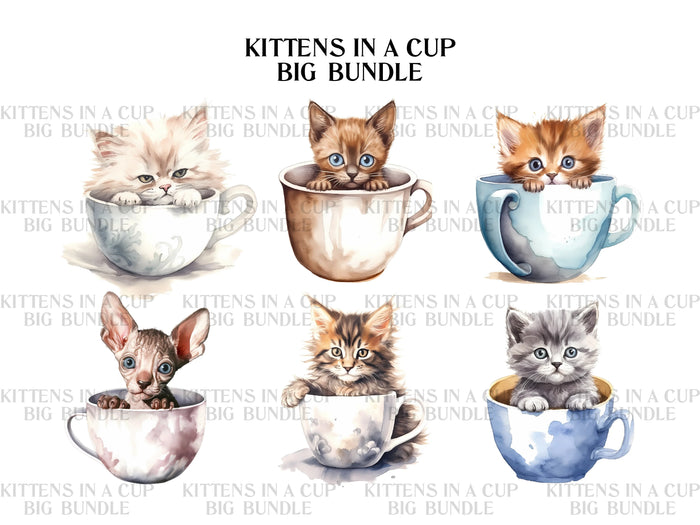 Kitten In A Cup