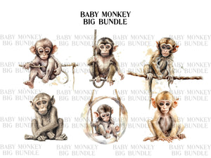 Baby Monkey