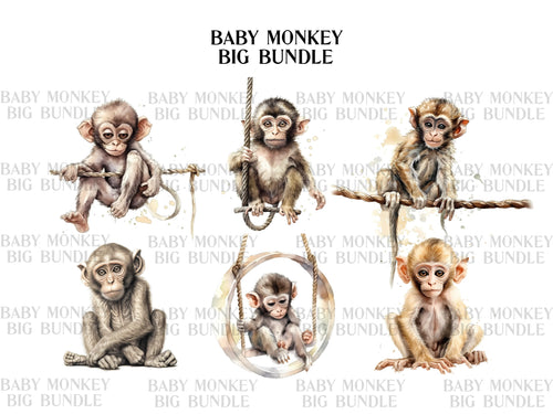 Baby Monkey