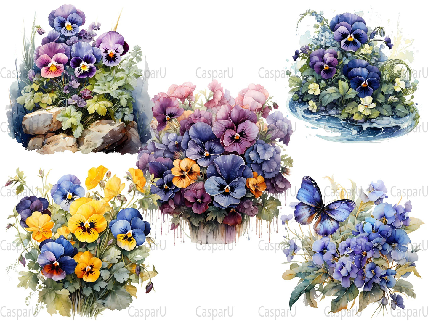 Pansy Palette In Fall