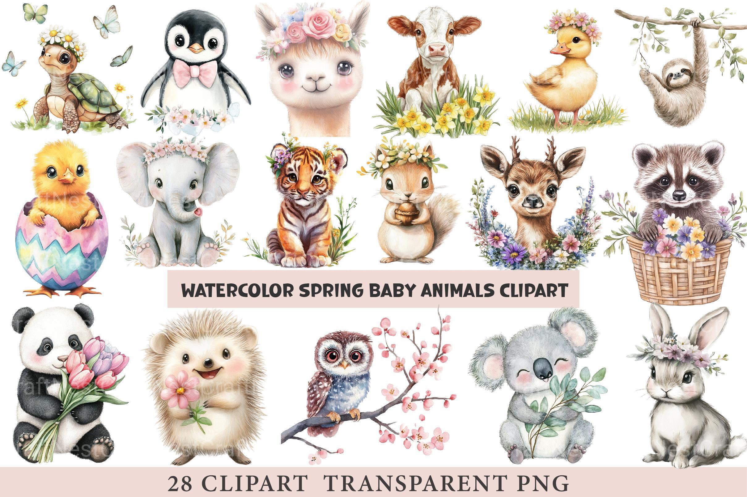 Spring Baby Animals Clipart