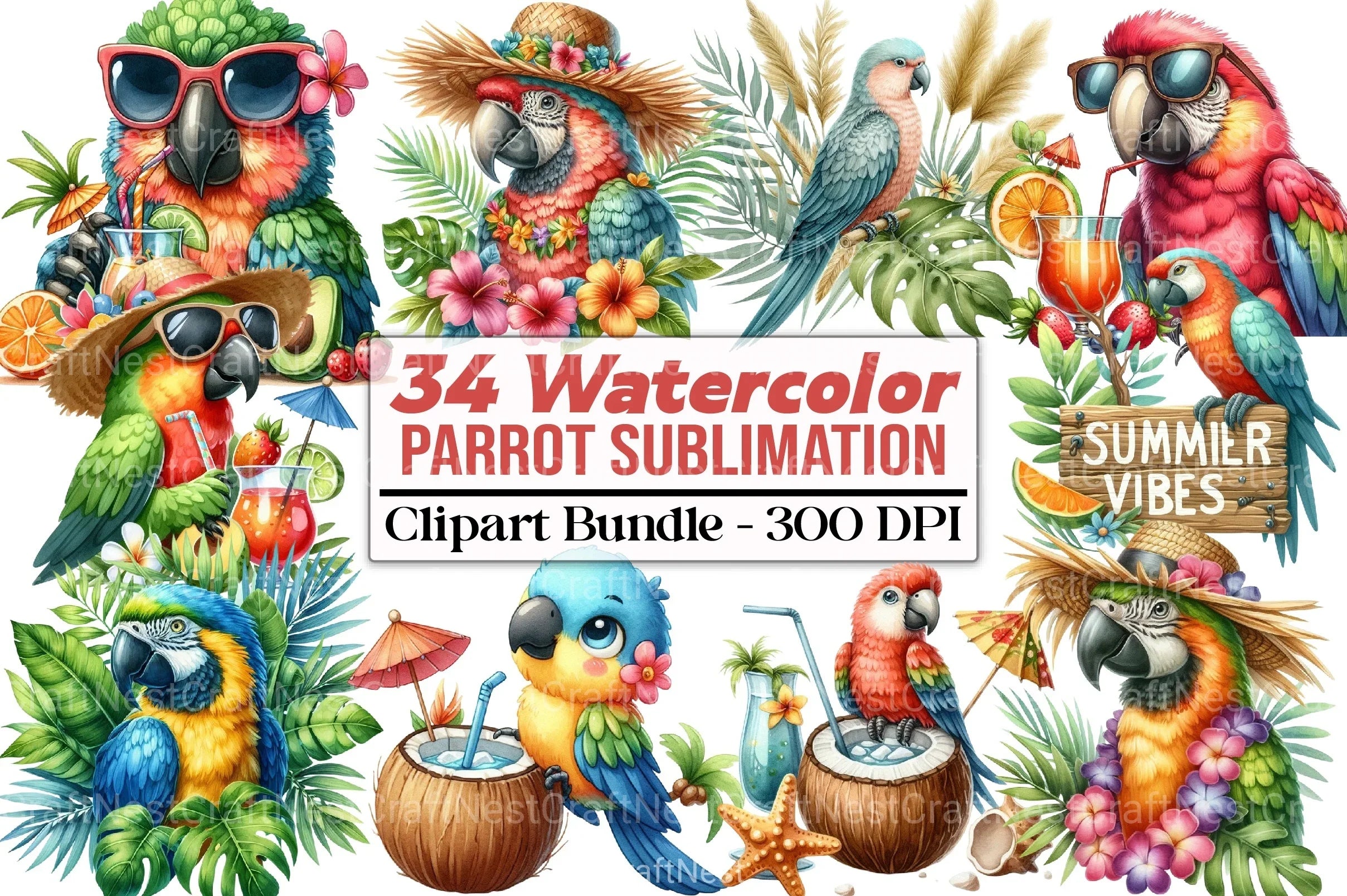 Summer Parrot Clipart Bundle