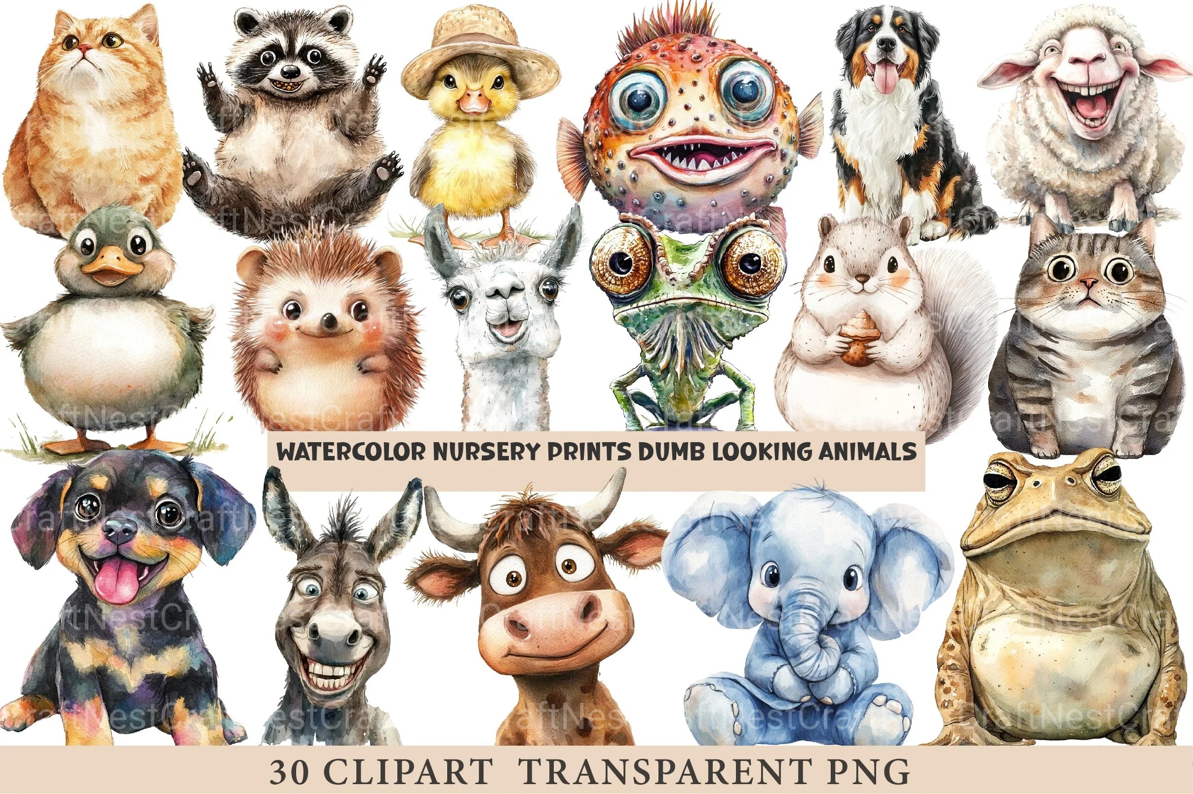 Nursery Prints Dumb Looking Animals Clipart Bundle