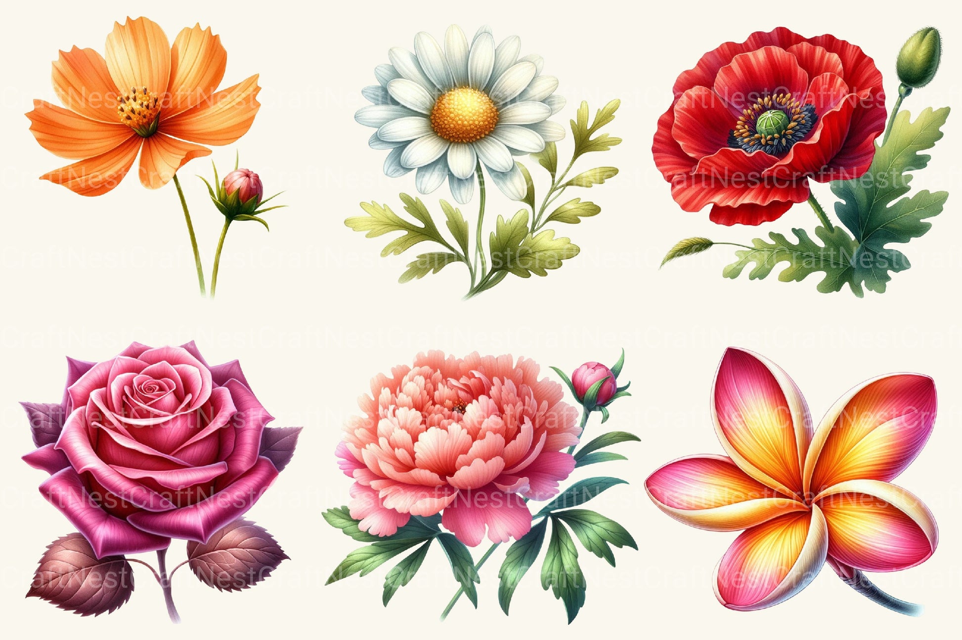 Summer Flowers Clipart Bundle 2