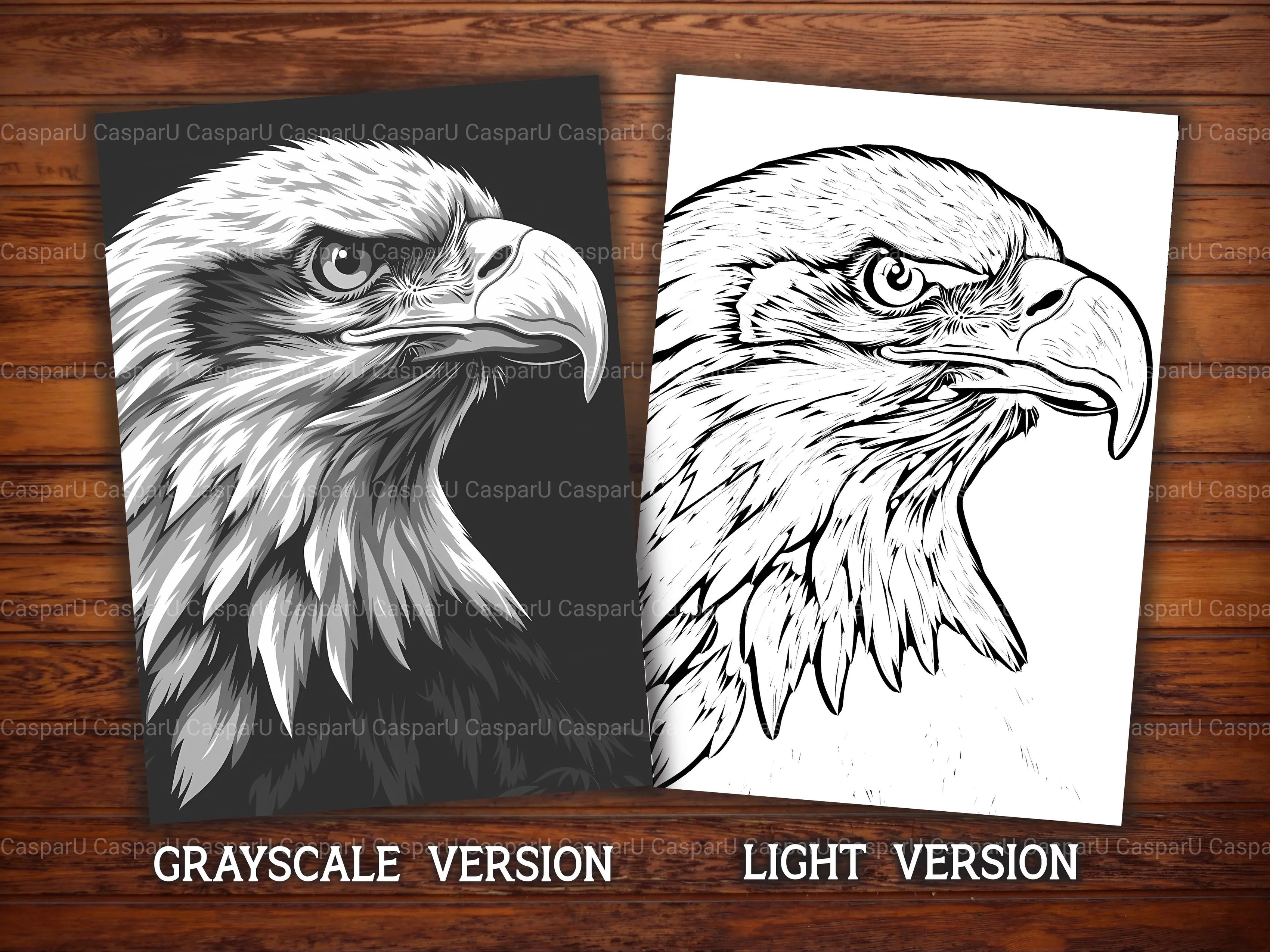 USA Back To School Coloring Books