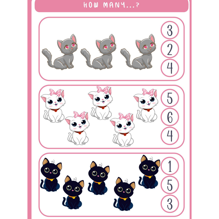 How Many Basic Counting Worksheet