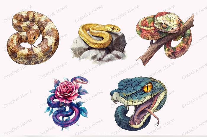 Adder Snake Clipart Bundle