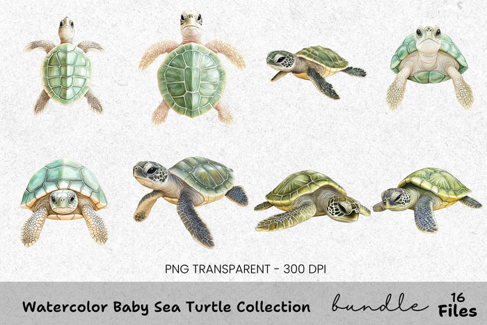 Baby Sea Turtle Clipart Bundle