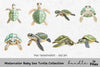 Baby Sea Turtle Clipart Bundle