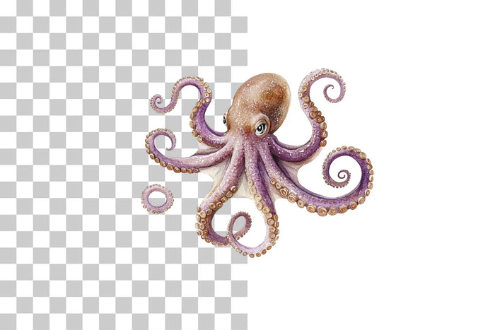 Vintage Octopus Sea Creature Clipart Bundle