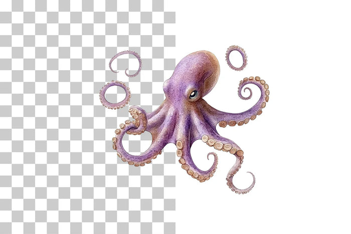 Vintage Octopus Sea Creature Clipart Bundle