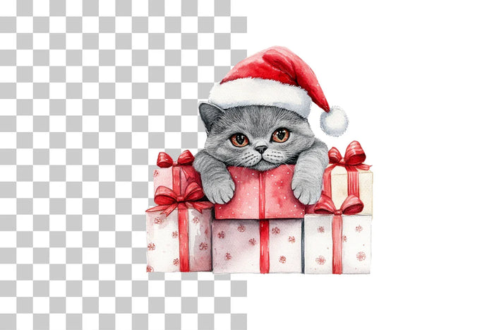 Cozy Cute Cats Clipart Bundle